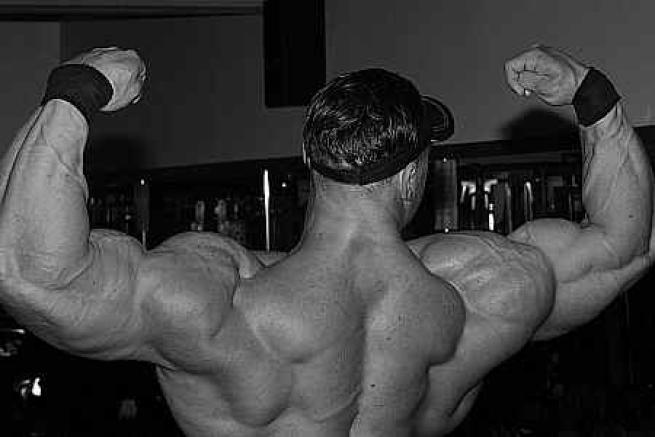 BODY BUILDER DANIELE SECCARECCI MORTO D'INFARTO